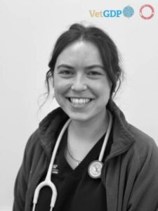 About Us | Meet the Team | Sanderson Vet