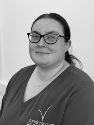 About Us | Meet the Team | Sanderson Vet