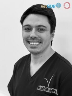 About Us | Meet the Team | Sanderson Vet